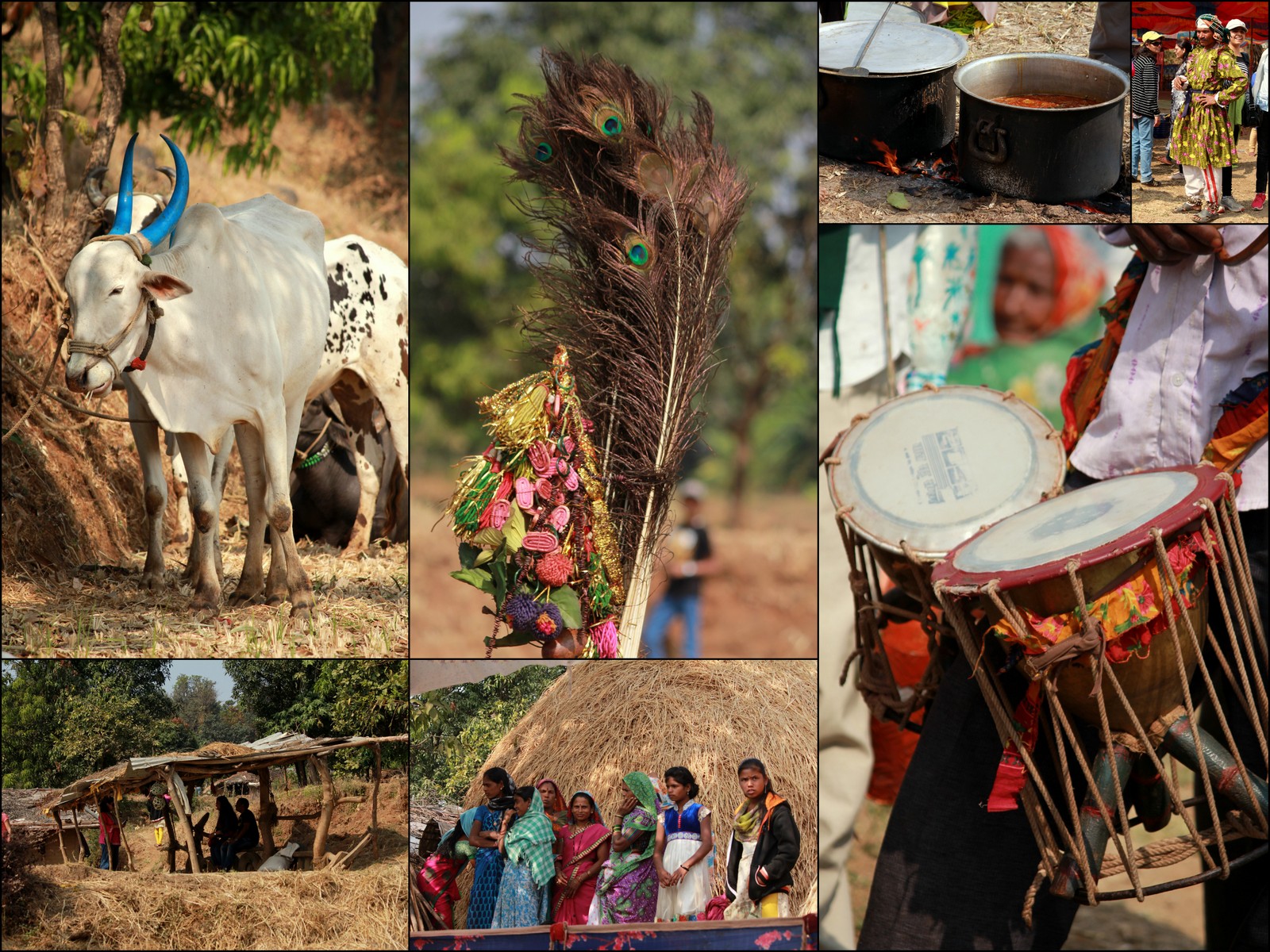 Strawberry Festival at Borgaon,Nasik - My Foodcourt