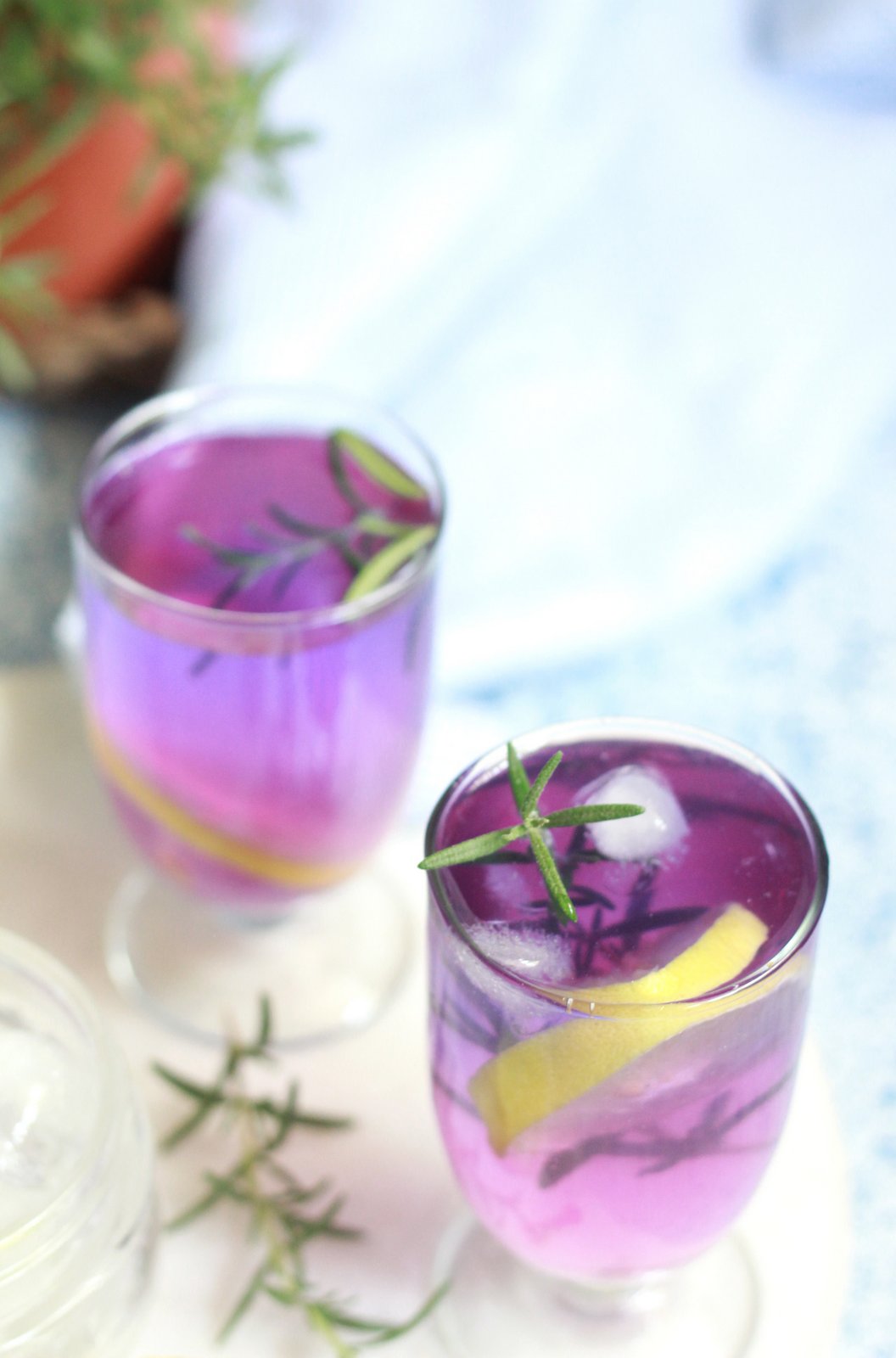 Blue Tea (butterfly pea flower tea) - My Foodcourt